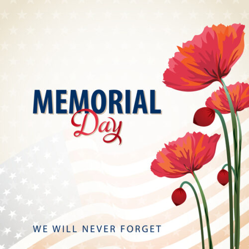 Why Is the Poppy a Symbol of the Fallen? - ID.me Insider